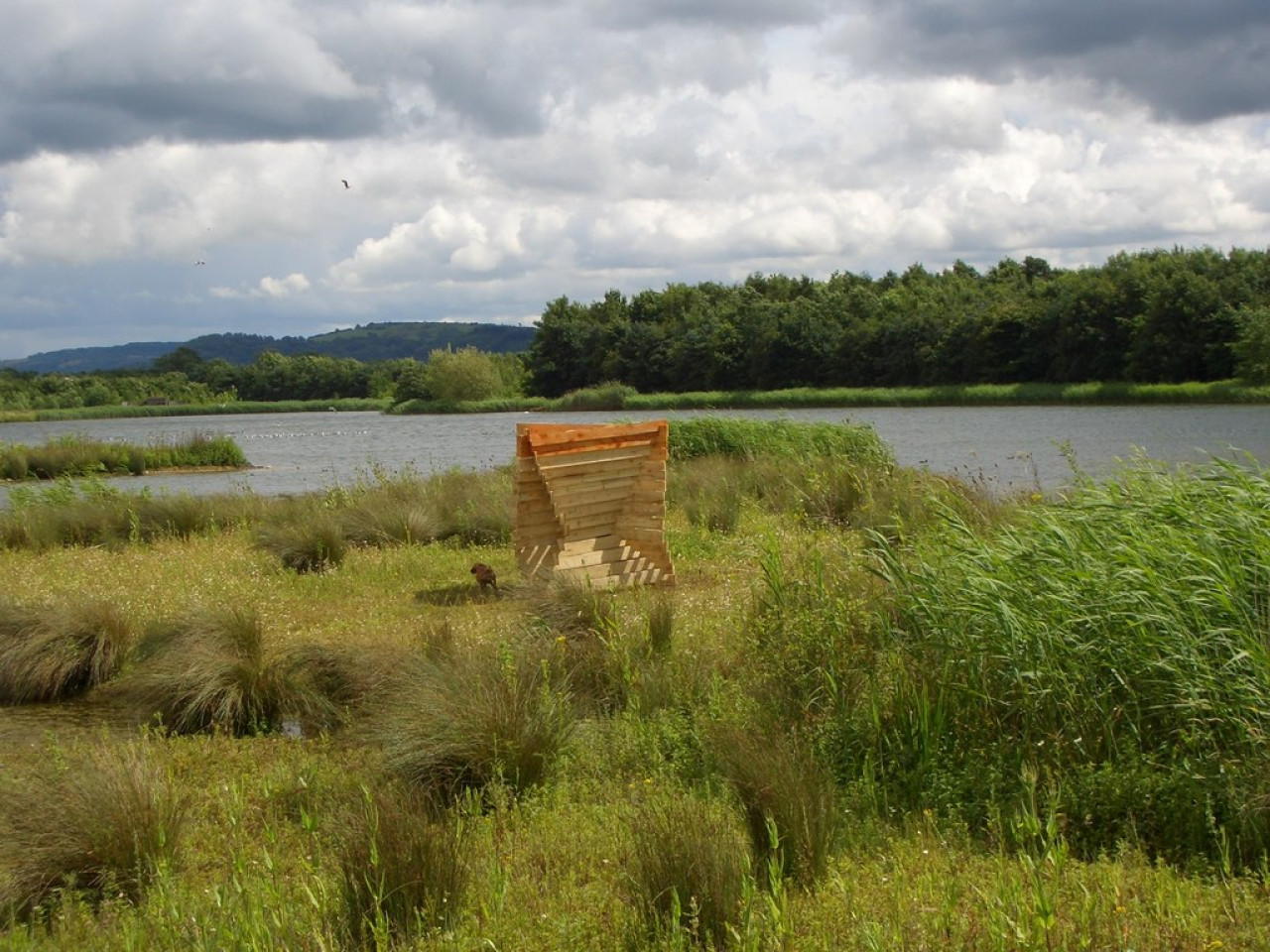 Kemerton Lake Nature Reserve, Bredon, Worcestershire - Great British ...