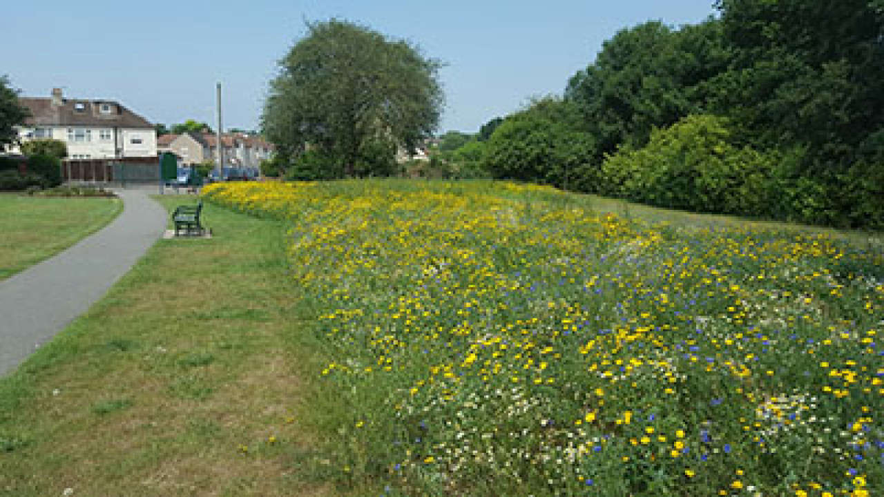 Great British Play Map