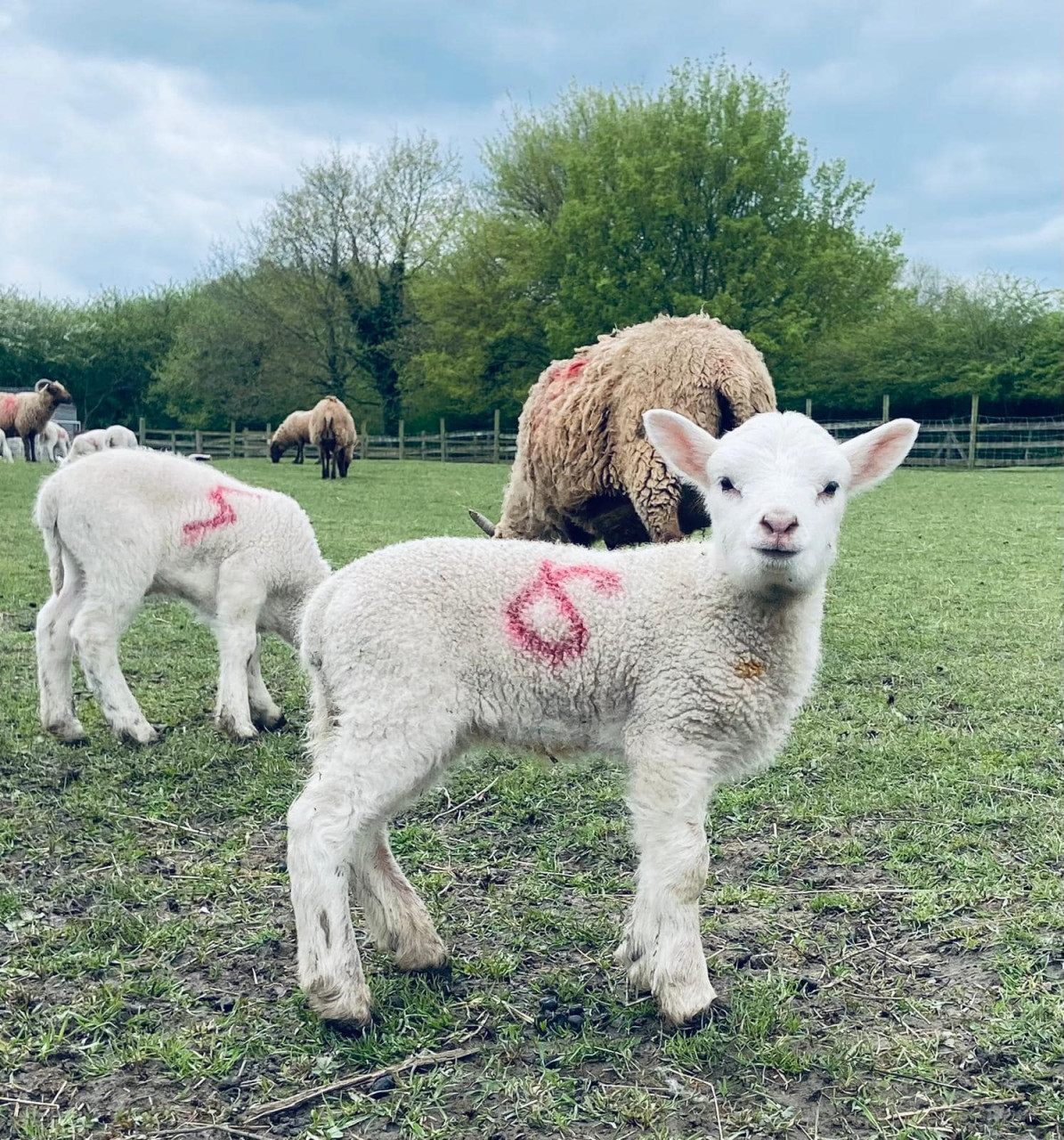 Great British Play Map