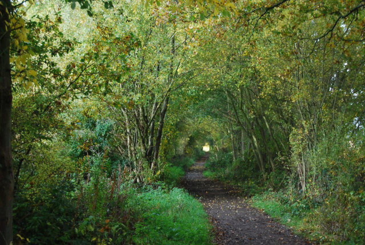 Forest Way Country Park, Corseley Road, Groombridge, East Sussex ...